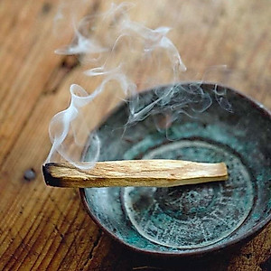 Palo Santo - 100% Natural - 20 Sticks - Sustainably Harvested - High Resin Content - EarthWise Aromatics