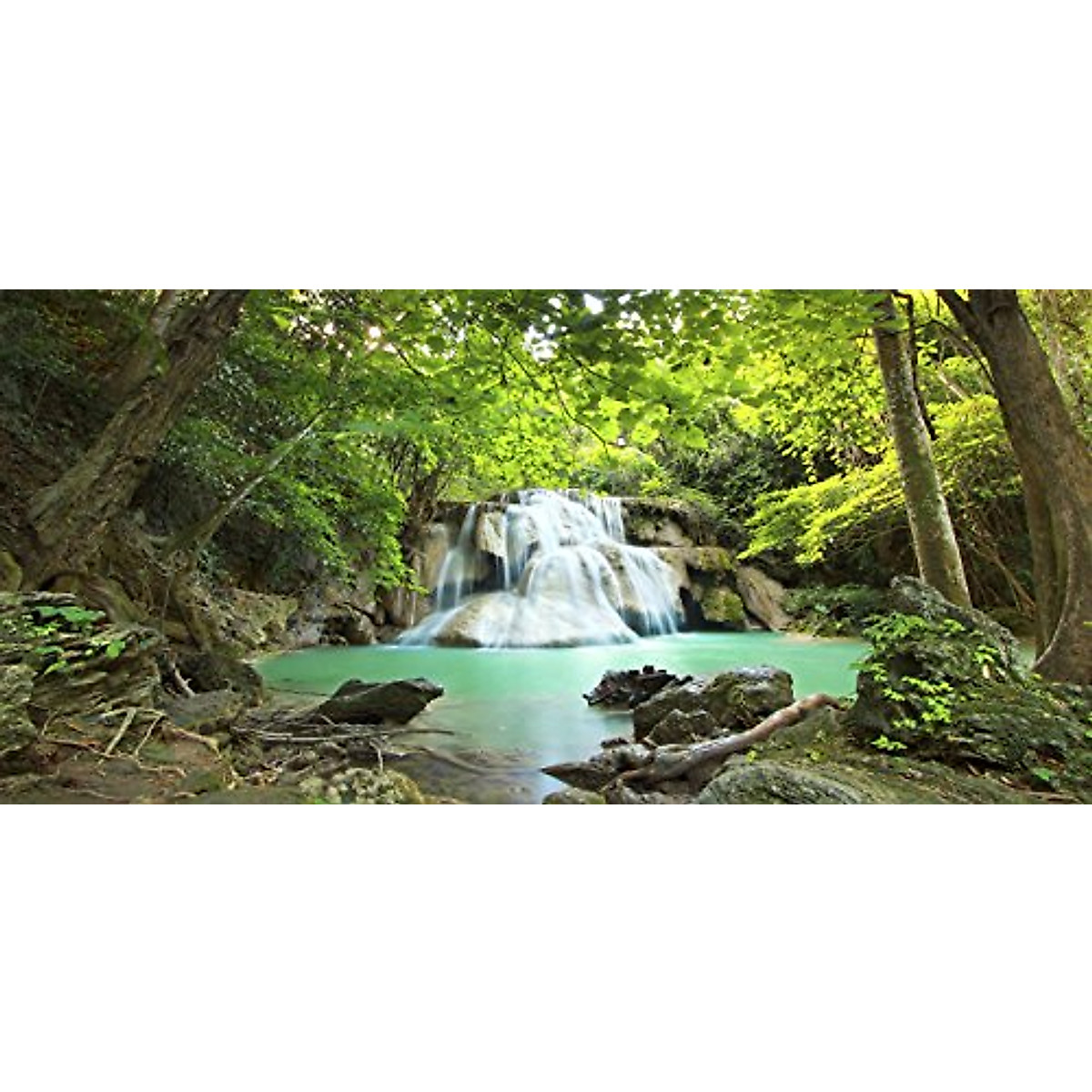 Reptile Habitat Background; Rain Forest with Waterfall, for 36Lx18Wx36H Terrarium, 3-Sided Wraparound