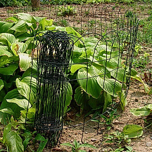 Green Garden Border Edging Folding Fence Roll 14 inches by 20 feet Scroll Top Rolled Yard Fencing Garden Fence, Metal Wire Garden Fence for Outdoor Yard Landscape Patio,Flower Bed Edging.