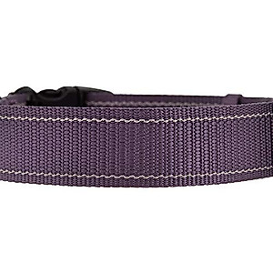 KONG Max Ultra Durable Dog Collar (Large, Purple)