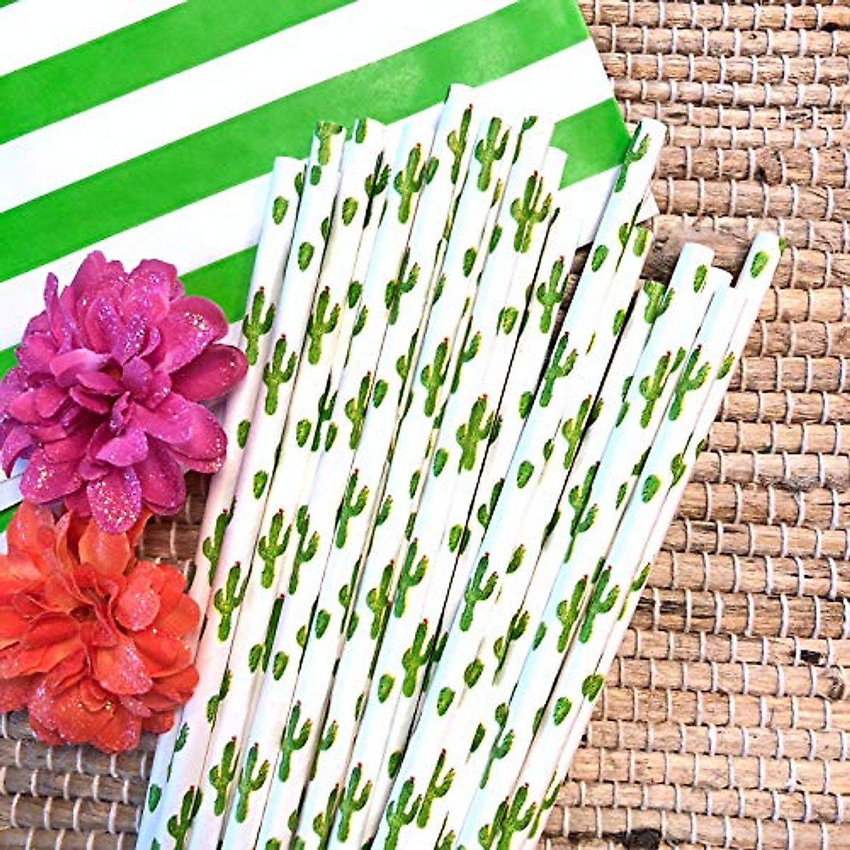 Cactus Theme Paper Straws - Green White Succulents and Gold Foil Drinking Straws - 100 Pack Outside the Box Papers Brand