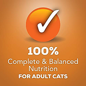 Purina Friskies Gravy Wet Cat Food, Shreds With Chicken - (24) 5.5 oz. Cans