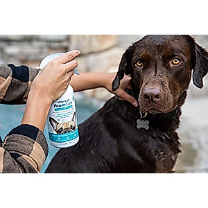 Vetericyn FoamCare Pet Shampoo Plus Conditioner, Spray-on Shampoo for Dogs and Cats, Foams Instantly and Rinses Easier, Natural Ingredient Shampoo, 16-ounce