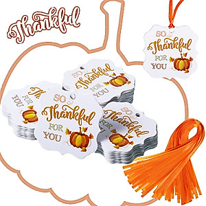 Crtiin 100 Pieces Thanksgiving Present Tags Thank You Favor Tags Thanks Pumpkin Labels with 100 Pieces Ribbons for Happy Thanksgiving Day Halloween DIY Thanksgiving Crafts Holiday Letters