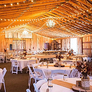 Romasaty 25FT LED Outdoor String Lights, G40 LED Globe Patio String Lights with 27 Shatterproof LED Clear Light Bulbs, Decorative Lighting for Garden Porch Backyard Gazebo Party Decor-Black Wire