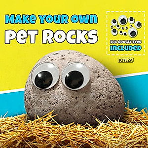 JOYEZA Deluxe Rock Painting Kit, Arts and Crafts for Girls Boys Age 6+, 12 Rocks, Best Tween Gift Art Set, Waterproof Paints, Craft Kits Art Supplies, Kids Activities Age 4 5 6 7 8 9 10