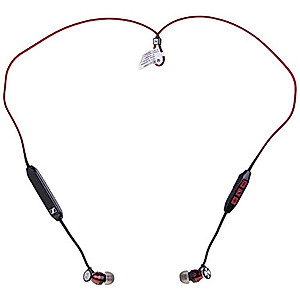 Momentum Free Special Edition