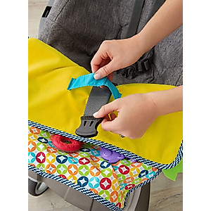 Fisher-Price On-the-Go Activity Throw