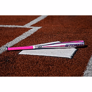 Rawlings | STORM T-Ball Bat | USA Softball & Baseball | -12 Drop | 24" | Silver/Pink