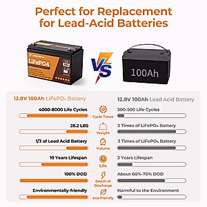 12V 100Ah Self-Heating LiFePO4 Lithium Battery with Smart APP, 4000+Cycle LiFePO4 Battery, Built-in 100A BMS, Wireless Real-Time Battery Monitor Function for RV, Marine, Off Grid Application