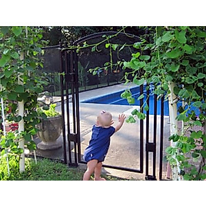 Sentry Safety Pool Fence Visiguard 5' Tall Self-Closing/Self-Latching Pool Fence Child Safety Gate Comes with Hinges, Lock & Latch in Box (Black, 5ft)