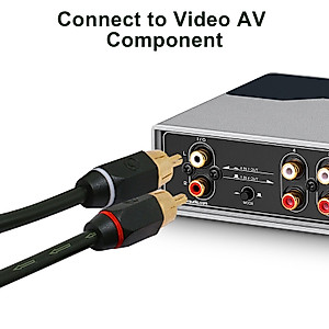 Sydien 12 Inch RCA Splitter 1 Female to 2 Male 2 Pack, RCA Y Cable RCA Video Car Audio Cable Splitter RCA Adapter Black