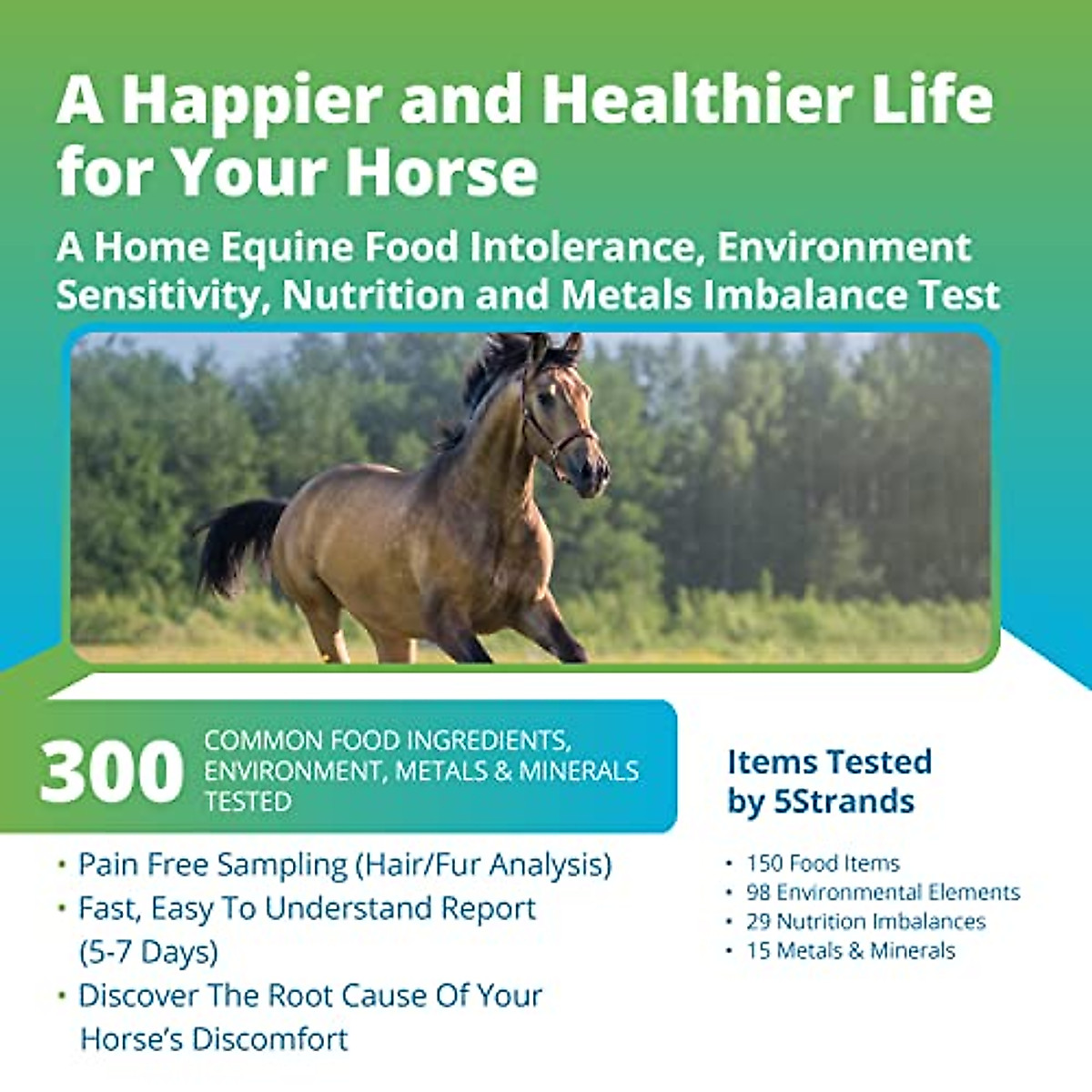 5Strands Equine Health Test, Environmental & Food Intolerance, Nutrition, Metals and Minerals Imbalances, at Home Horse Hair Sample Collection Kit, Results in 7 Days Works for All Ages and Breeds