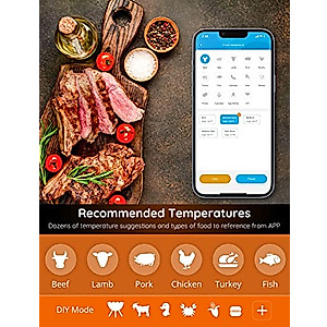 Govee WiFi Meat Thermometer, Wireless Meat Thermometer with 4 Probe, Smart Bluetooth Grill Thermometer with Remote App Notification Alert, Digital Rechargeable BBQ Thermometer for Smoker Oven Kitchen