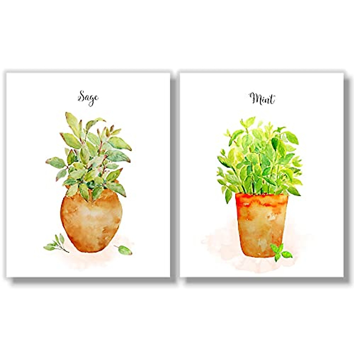 Kitchen Wall Art - Herbs Prints in Pots (Set of 7) - Farmhouse Decor - Unframed Botanical Prints (5x7)