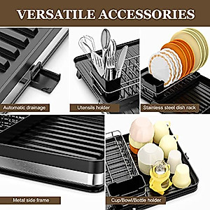 Dish Drying Rack- Space-Saving Expandable Large Capacity Dish Rack for Kitchen Counter, Kitchen Dish Drainer with Utensil Holder, Drying Rack for Kitchen Counter Dishes, Knives, Spoons, Forks (白蜡虫可