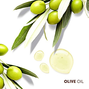 Mizani True Textures Moisture Replenish Shampoo | Smooths & Hydrates | with Coconut Oil | Sulfate & Paraben-Free | for Curly Hair | 16.9 Fl Oz