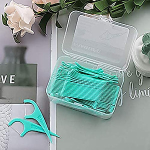 FAMILIFE Floss Picks Mint Dental Floss Picks with 4 Travel Handy Cases 240 Count Flossers