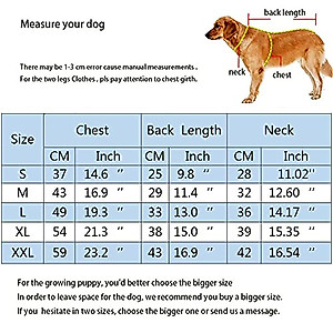 Miaododo Winter Small Medium Dog Coat Windproof,High Collar Dog Jacket Cotton-Padded for Puppy Cat Doggie Pets Dog Clothes Apparel Clothing with Zipper and D Ring