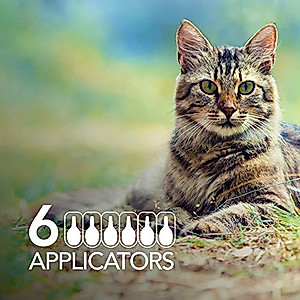 TevraPet Actispot II Flea Treatment for Small and Medium Cats 5-9 lbs | 6 Doses | Powerful Prevention and Control, Clear