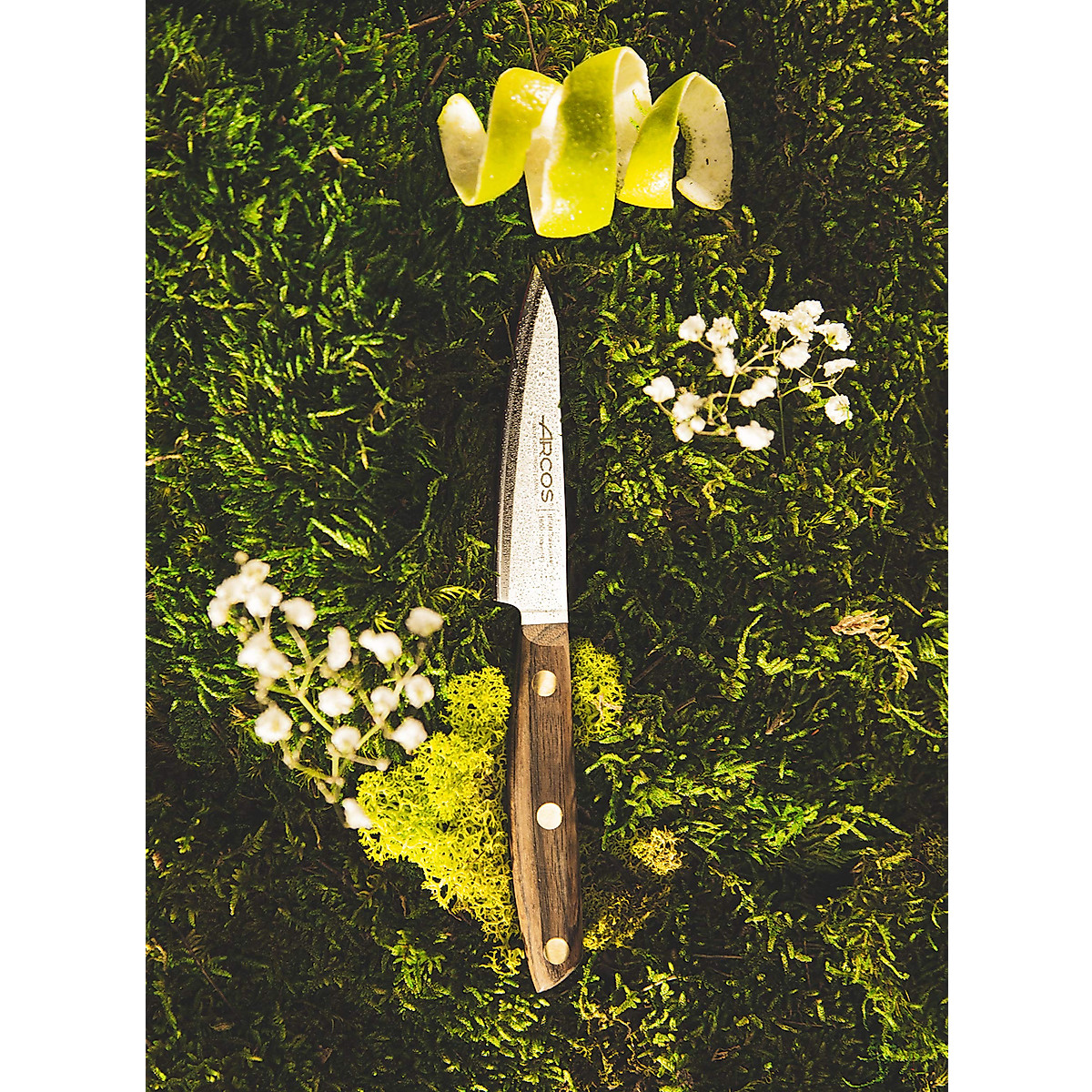 ARCOS Paring Knife 4 Inch Stainless Steel. Professional Kitchen Knife for Peeling Fruits and Vegetables. Ovengkol Wood Handle 100% natural FSC and 100mm Blade. Series Nordika. Color Brown