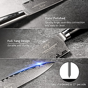 Chefs Knife Set with Gift Box, 4 Pieces Damascus Kitchen Knife Set, VG10 Steel Professional Knife Sets for Chefs, Knife Set with Non-slip Micarta Handle, Knife Sharpener and Chefs Knife