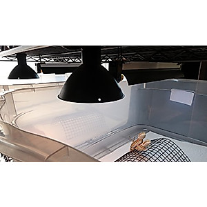 Carolina Custom Cages Reptile GU10 Halogen Dome Fixture with 54" AC Cord and Switch