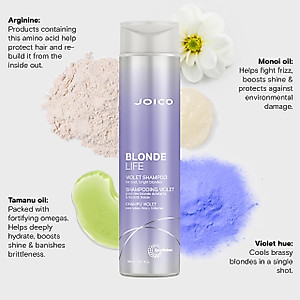 Joico Blonde Life Violet Shampoo | For Cool & Bright Blonde Hair | Neutralize Brassy Tones | Banish Yellow Tones | Boost Shine | Sulfate Free | With Monoi & Tamanu Oil | 10.1 Fl Oz