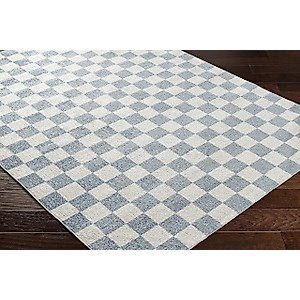 Mark&Day Washable Rugs, 2x3 Shaquina Modern Pale Blue Checkered Rug, Blue Ivory Carpet for Living Room, Bedroom or Kitchen (2' x 3', Machine Washable)