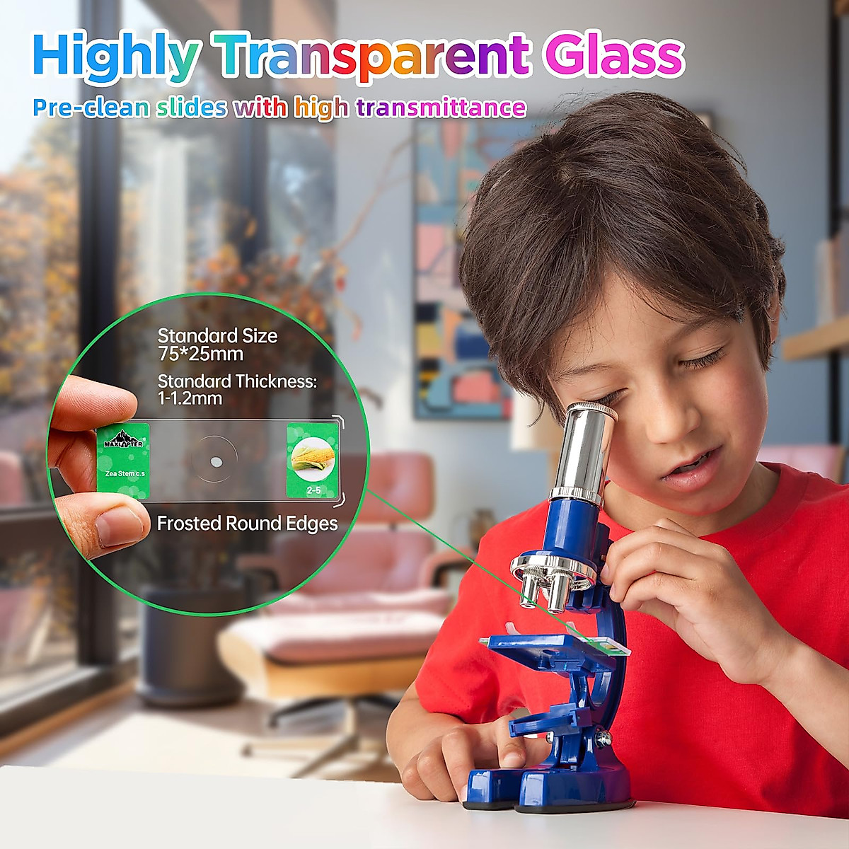 35 Microscope Slides with Specimens for Kids, Prepared Microscope Slides Set with Plants Animals Insects, Microscope Slides for Kids Students Homeschool Basic Education, Best Gift for Kids