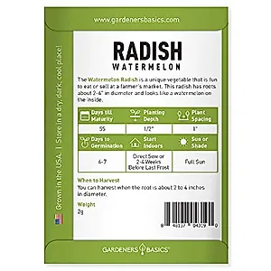 Watermelon Radish Seeds for Planting - Heirloom, Non-GMO Vegetable Seed - 2 Grams of Seeds Great for Outdoor Spring, Winter and Fall Gardening by Gardeners Basics