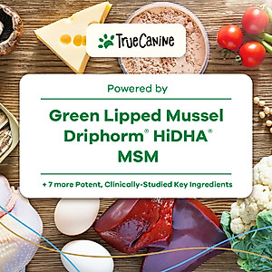 New Flex TrueCanine Joint Supplement for Dogs - All Natural Dog Joint Supplement with Green Lipped Mussel, MSM, DHA & Collagen for Dogs, Hip and Joint Supplement Dogs - Chicken Flavor, 2oz Powder