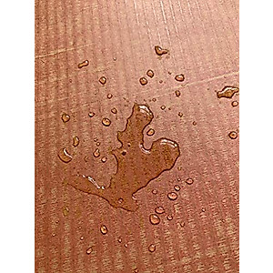 Cats Desire Biodegradable & Disposable Litter Box (15 PC)