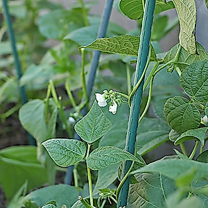 MECCANIXITY Greenhouse Frame Pipe Clamp 25mm Inner Dia Plastic Film Tube Clip Connector for Garden Sunshade Net Fixed Dark Blue Pack of 10