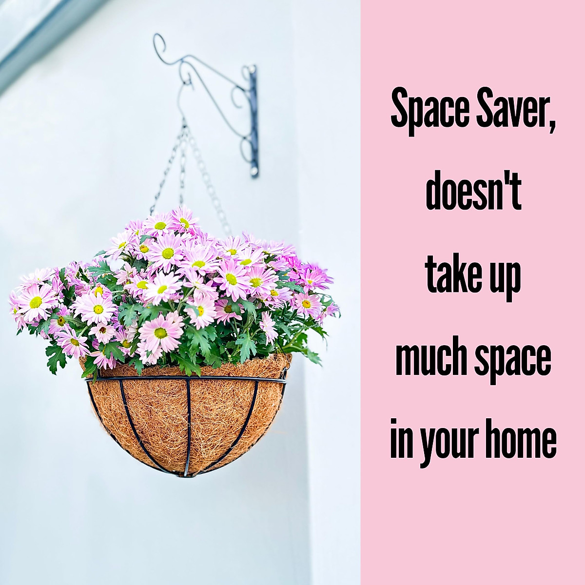 LaLaGreen Hanging Baskets for Plants (3 Pack, 10 Inch) Hanging Planter Outdoor with Coco Liner, Metal Wire Flower Basket Pots Holder Hanger Hook Deck Patio Porch Garden Balcony Outside Decoration