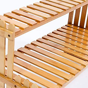 Lawei 2 Tier Table Top Bamboo Plant Stand - Desktop Flower Shelf Rack Flower Pot Display Stand for Indoor Outdoor Home Patio Lawn Garden Balcony Organizer Planter Holder