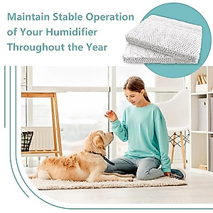 Sxkxm HC26E1004 Humidifier Pad 35 Water Panel Humidifier Filter Replacement for Honeywell Models HE260, HE265, HE360, HE365 (2 Pack)
