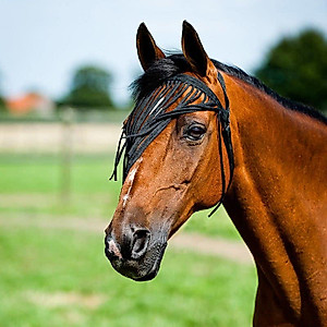 Horze Simple Lightweight Insect and Fly Veil for Sensitive Horses - No Halter Needed - Black - M