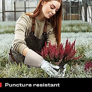 NoCry Long Leather Gardening Gloves for Women and Men; Near Thorn Proof for Cactus, Rose and Blackberry Pruning, General Yard Work and Garden Gloves; Reinforced Palms and Fingertips; Beige; Medium