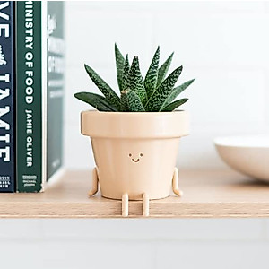 Sitting Indoor Plant Pot, Unique Cute Plastic Flower Pot with Face, 3.5 Inch Succulent/Cactus Gift Planter with Drainage Hole, Decorative Plant Pot, Novelty Planter (1x Sitting Pot)