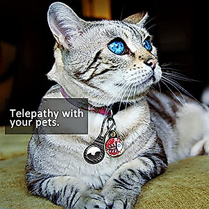 WSKEN for Airtag Case with Keychain 2021,[Anti -Lost] Metal Carbon Fiber Protective Premium Cover Portable Protector Ring Holder for Apple Airtags Accessories- Black