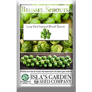 Long Island Improved Brussels Sprout Seeds for Planting, 200+ Heirloom Seeds Per Packet, (Isla's Garden Seeds), Non GMO Seeds, Botanical Name: Brassica oleracea, Isla's Garden Seeds