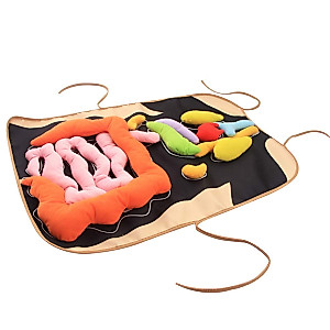 EDIONS 3D Organ Apron for Home Preschool Teaching Aid, Anatomy Apron Human Body Removabl Organs Apron for Kindergarten Kids Children Physiological Education Toy