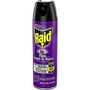 Raid Flea Killer Carpet and Room Spray 16 Ounce (Pack of 4)