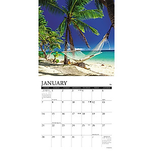 Willow Creek Press Ah The Beach! Monthly Mini 2024 Wall Calendar (7" x 7")