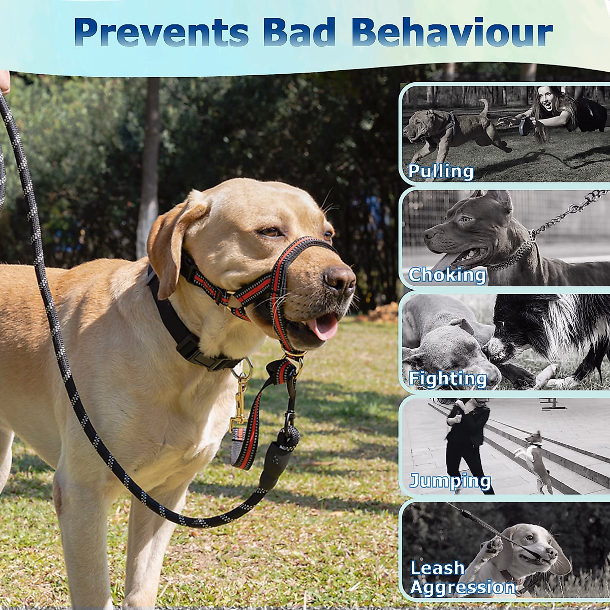 BARKLESS Muzzle Leash for Heavy Pullers, No Pull Stylish Head Halter for Medium Large Aggressive Dogs, Gentle Dog Face Harness Stops Pet Pulling and Choking on Walks, Adjustable Head Collar (XL, Red)