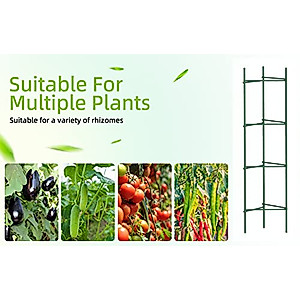 SONFILY Raised Garden Bed Metal Raised Garden Bed Outdoor Kit Garden Boxes Raised Galvanized Planter Raised Beds for Gardening Vegetables Fruit with 2pcs Tomato Cages,8x4x1ft,Brown