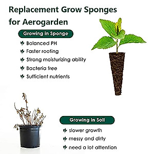 Aooccder Seed Starter Grow Sponges for Aerogarden, PH-Balanced Refill-Seed Pods Replacements for Indoor Hydroponic System,50 Pack, Brown