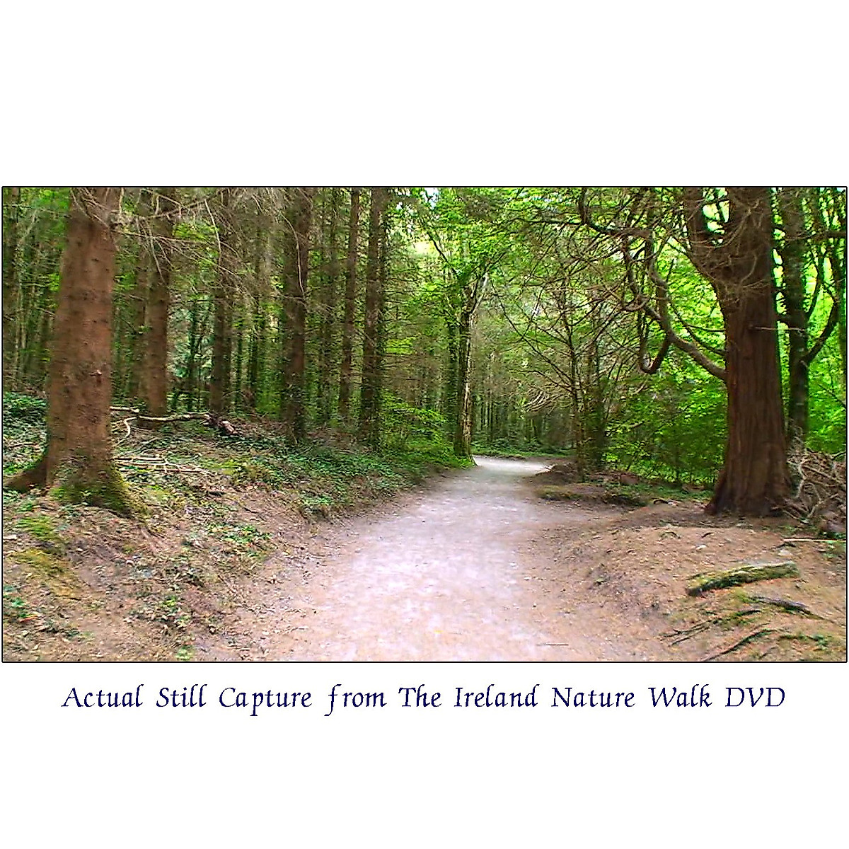 Ireland Nature Walk Treadmill Scenery DVD