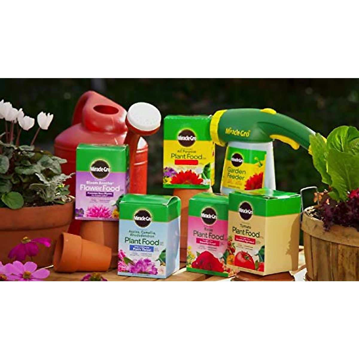 Miracle-Gro VB02199 Plant Food Water Soluble Rose, 1.5 lb,